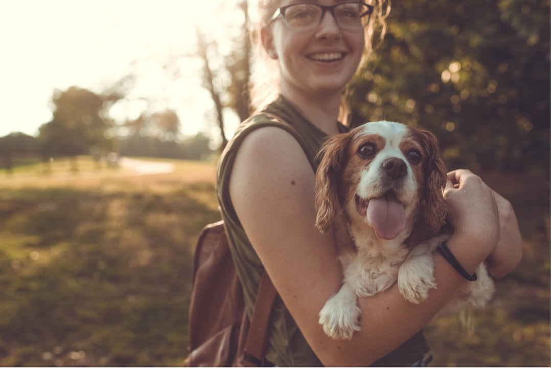 Challenges that helped me become a better pet owner – BYMiT