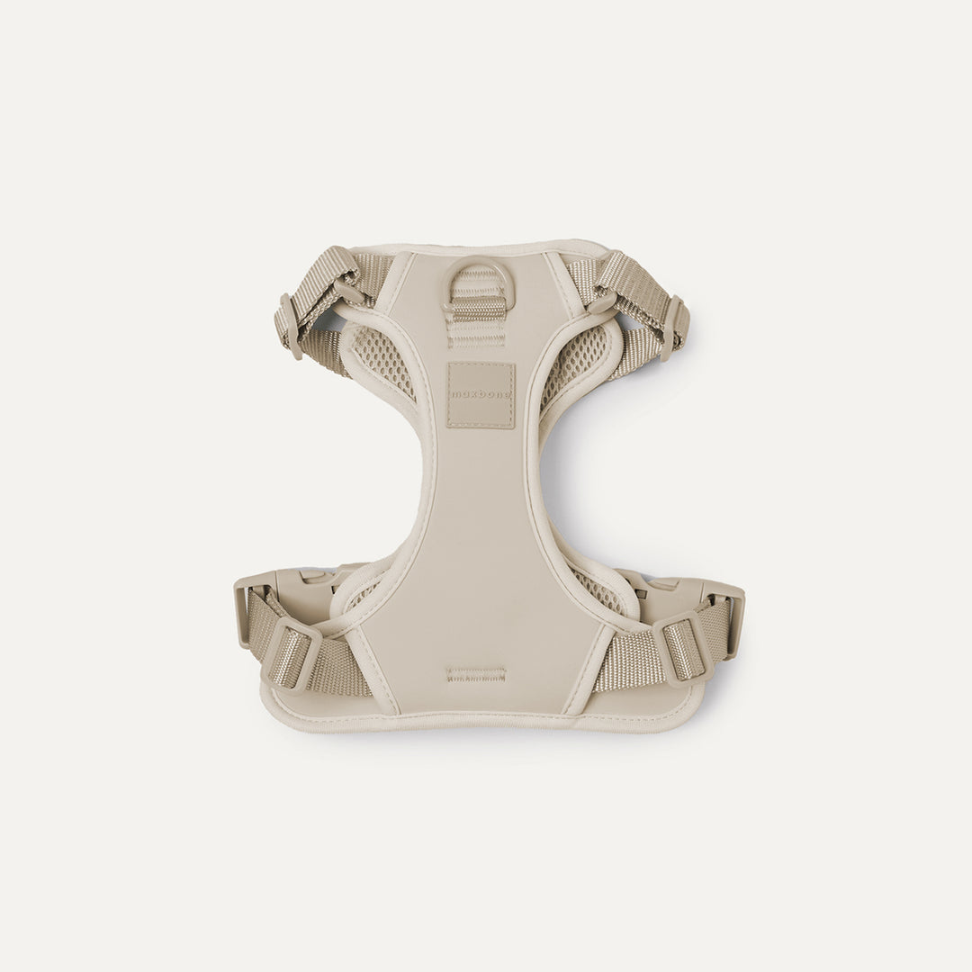 MaxBone Luxury Dog Clothing, Toys, Beds & Accessories - BYMiT – Page 3
