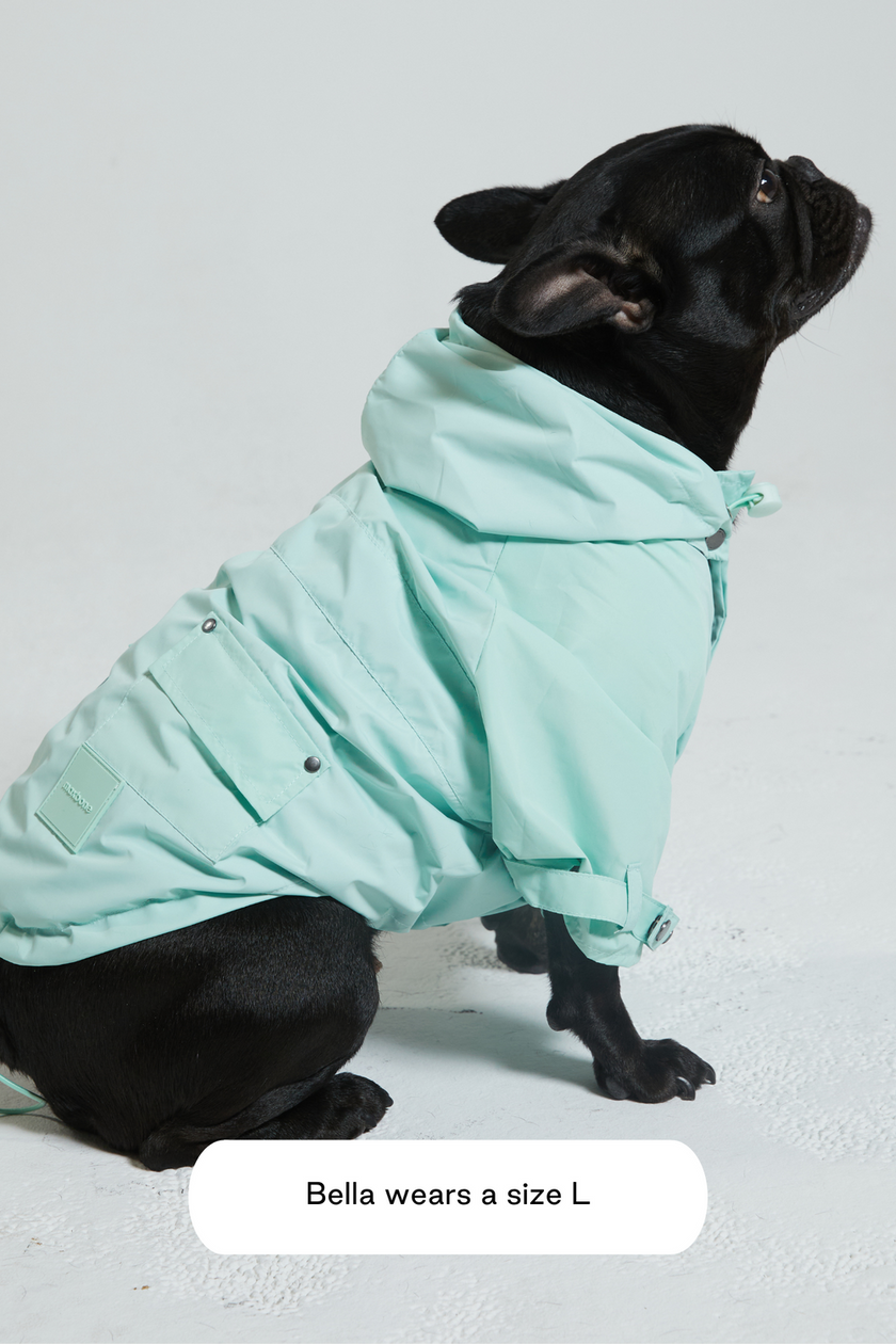 MaxBone Luxury Dog Clothing, Toys, Beds & Accessories - BYMiT – Page 3