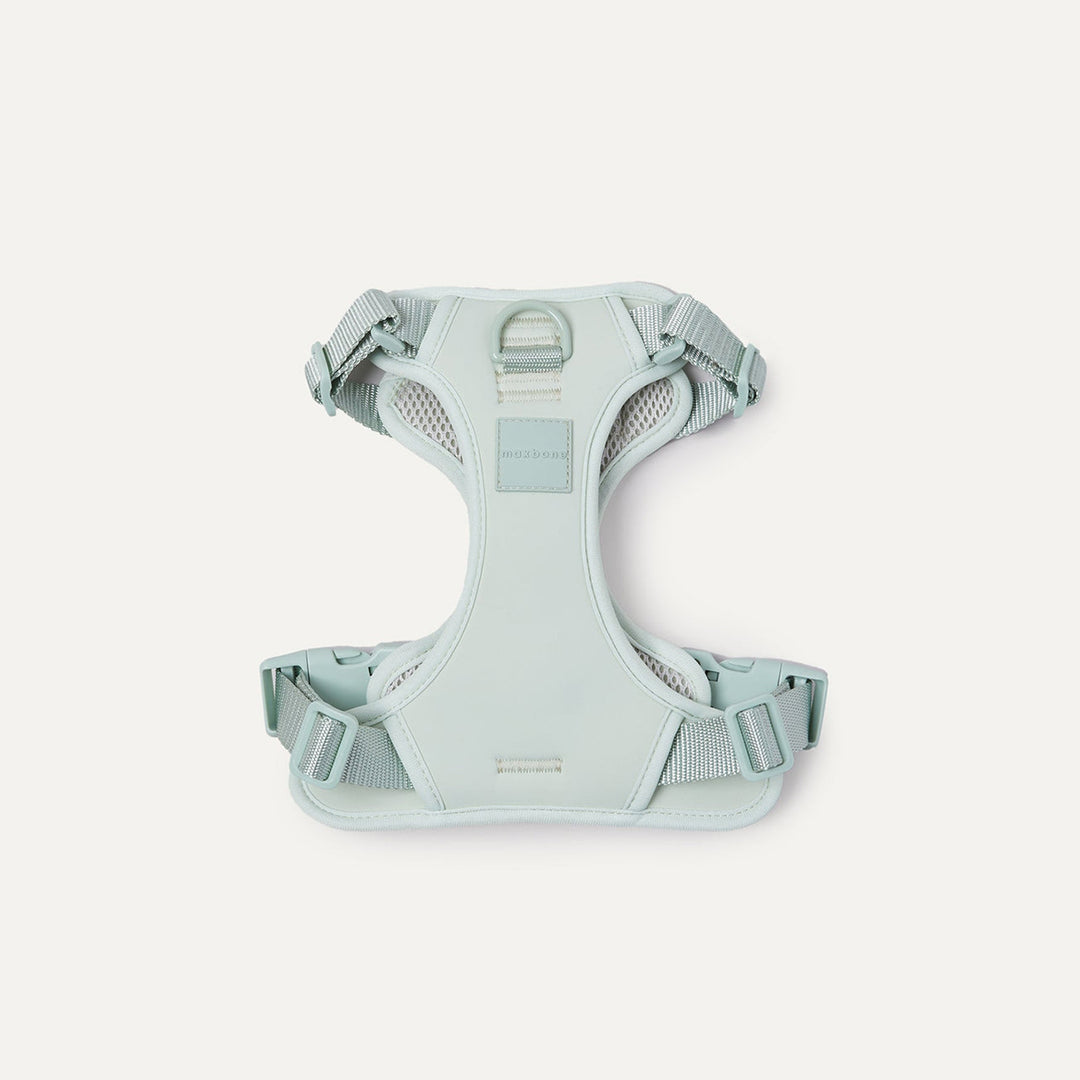 MaxBone Luxury Dog Clothing, Toys, Beds & Accessories - BYMiT – Page 3