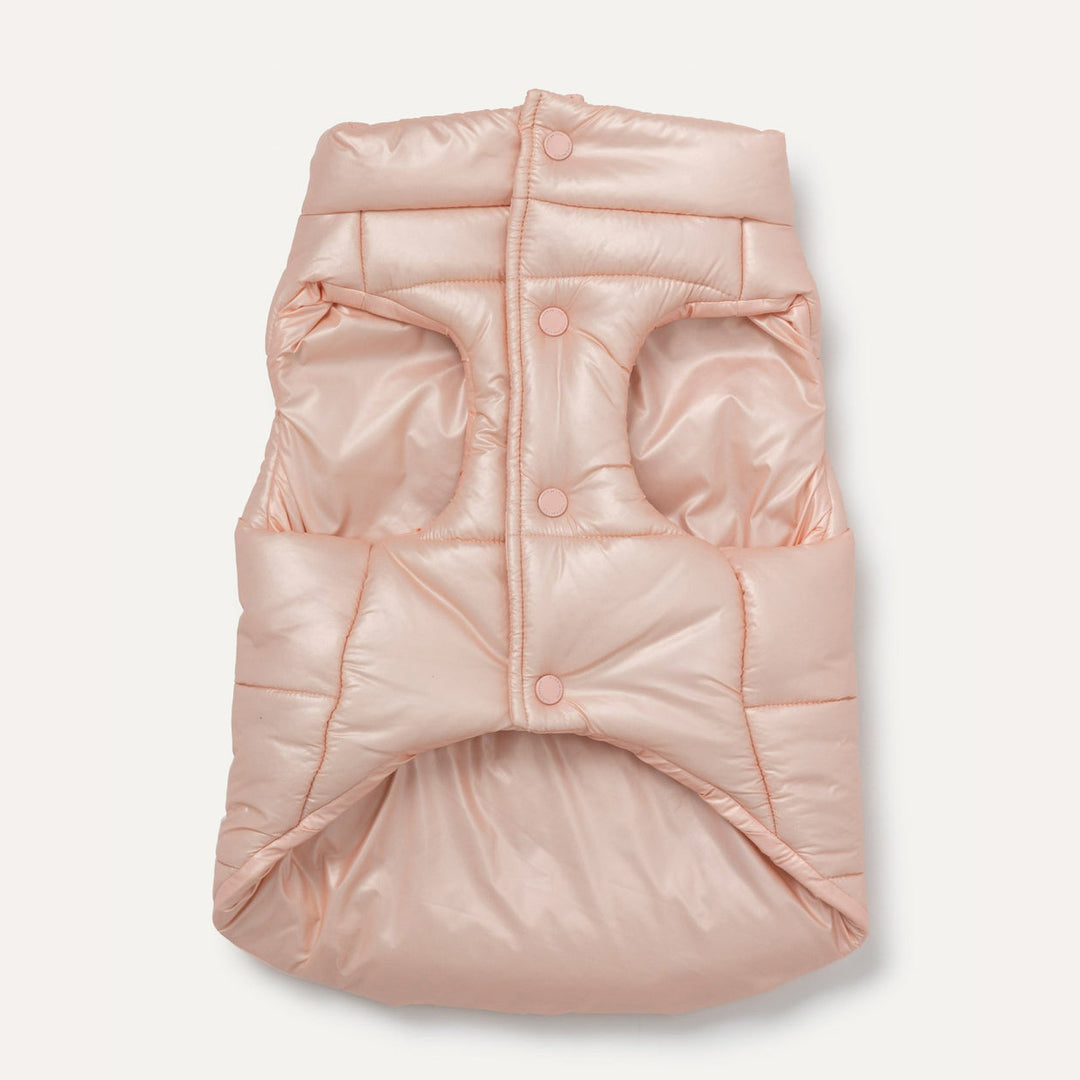 MaxBone Luxury Dog Clothing, Toys, Beds & Accessories - BYMiT – Page 3