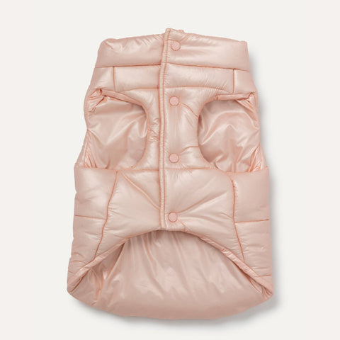 MaxBone Luxury Dog Clothing, Toys, Beds & Accessories - BYMiT – Page 3