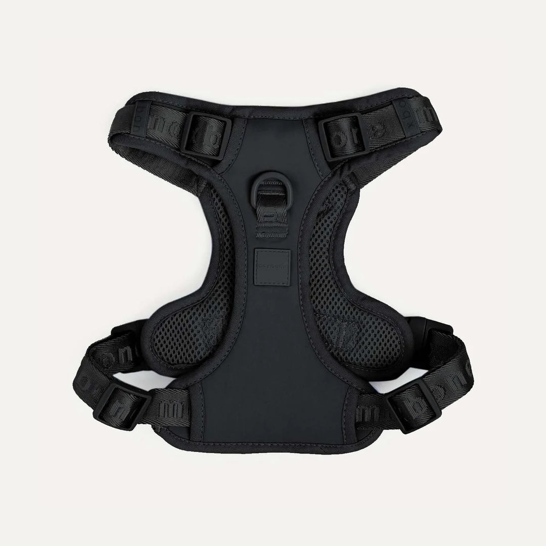 MaxBone Luxury Dog Clothing, Toys, Beds & Accessories - BYMiT – Page 3
