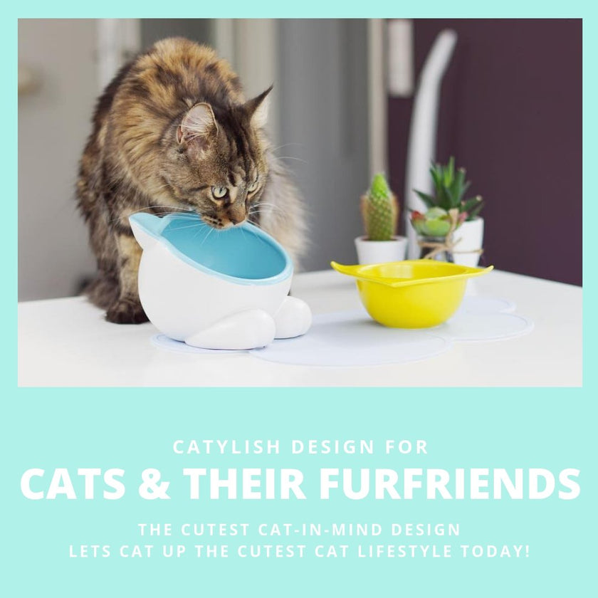 ViviPet Big Head Water Bowl – BYMiT