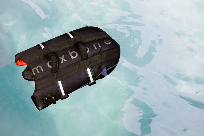 MaxBone Luxury Dog Clothing, Toys, Beds & Accessories - BYMiT – Page 3