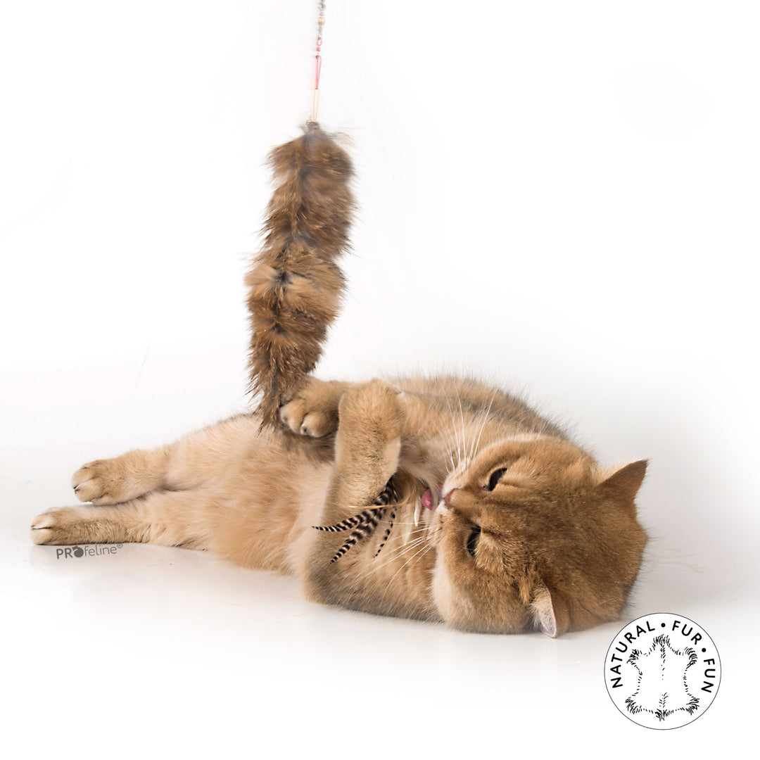 Profeline - Cat Toy Furry Tail – BYMiT